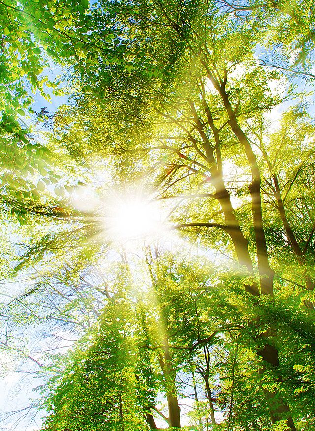 Start: Auer Lighting